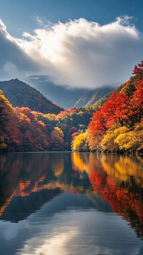 风景滤镜截图