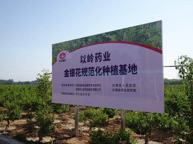 中药材种植合作与加盟截图