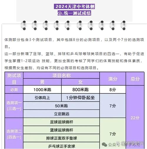 体考算分系统图标