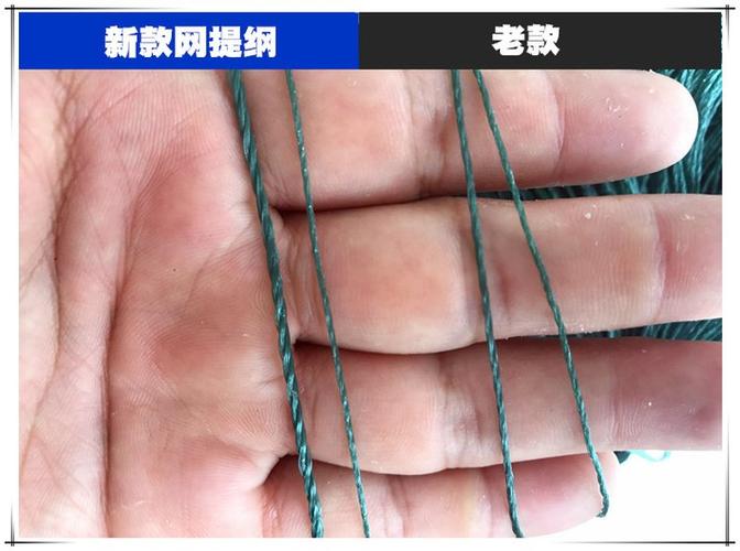 在哪里买网挂