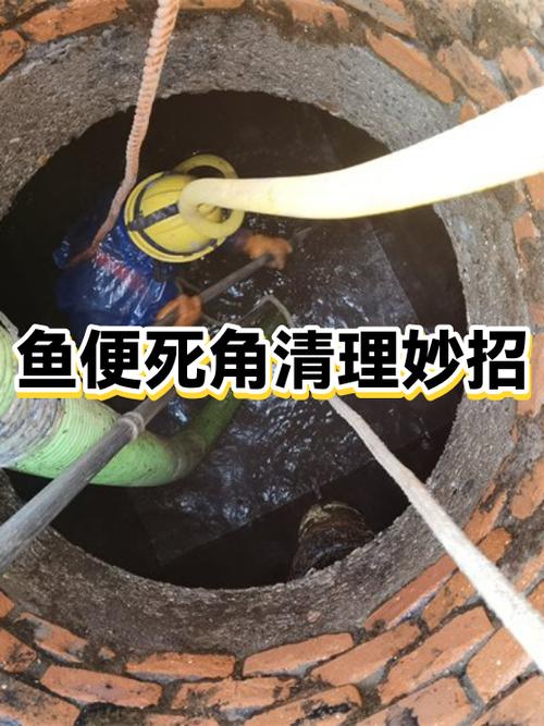 鱼便怎么清理图标