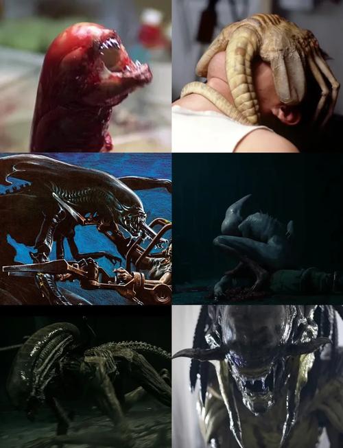 异形变异体有哪几种