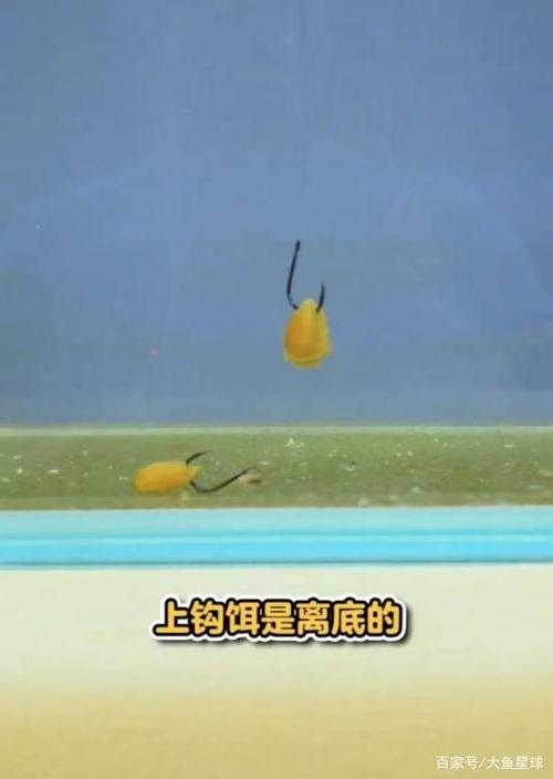 一钩轻触底一钩悬浮