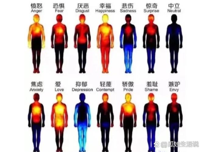 感觉整个人不在状态是什么情况截图