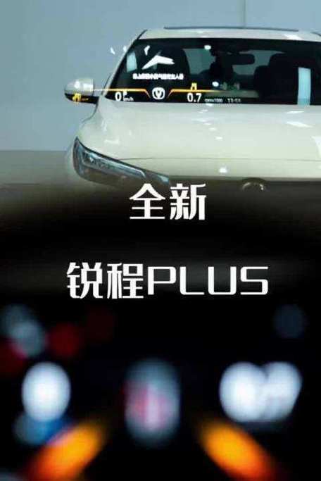 PL∪S的中文图标