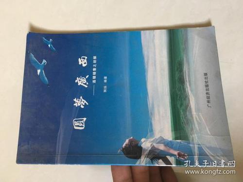 圆梦广西的书在哪能买到截图