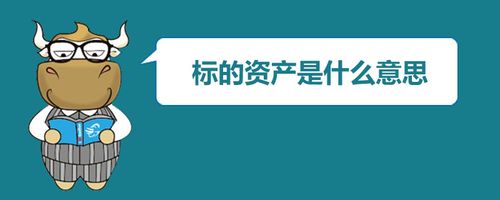 资产是什么意思图标