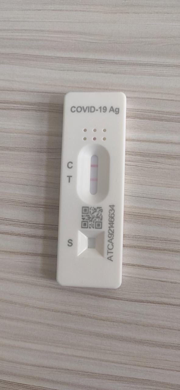 测试版两根一样红截图