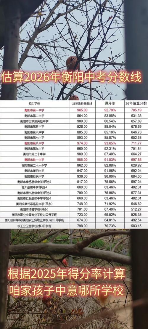 2026初三中考录取线截图