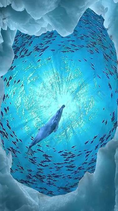 深海水族馆图标