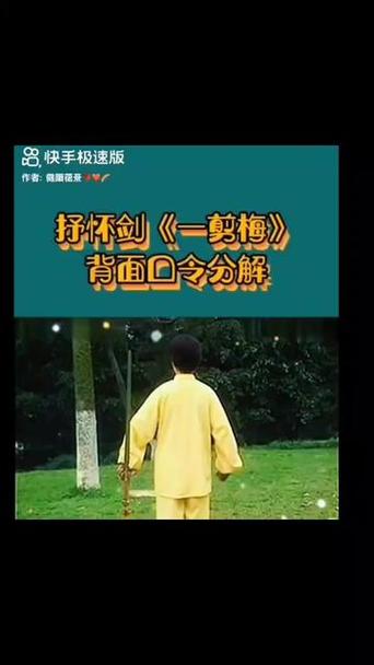 初级剑第四段教学视频截图