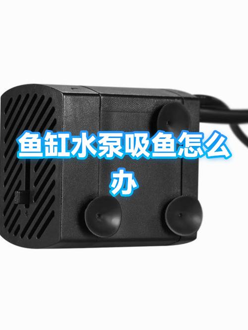 鱼缸水泵不抽水游戏截图