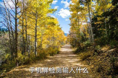 荣耀手机屏幕测试指令