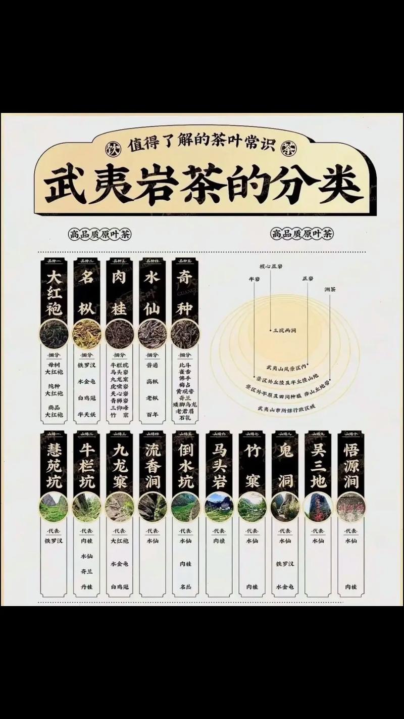 瑞泉岩茶什么档次图标