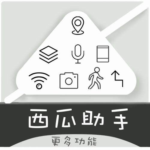 西瓜辅助平台图标