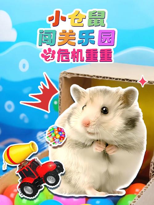 播放小仓鼠闯关