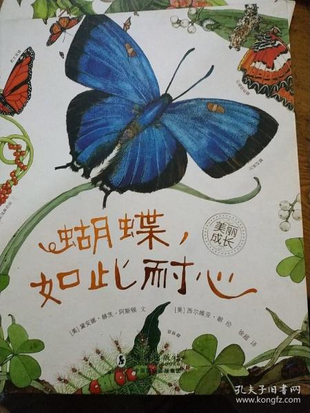 美女的肚子变大图标