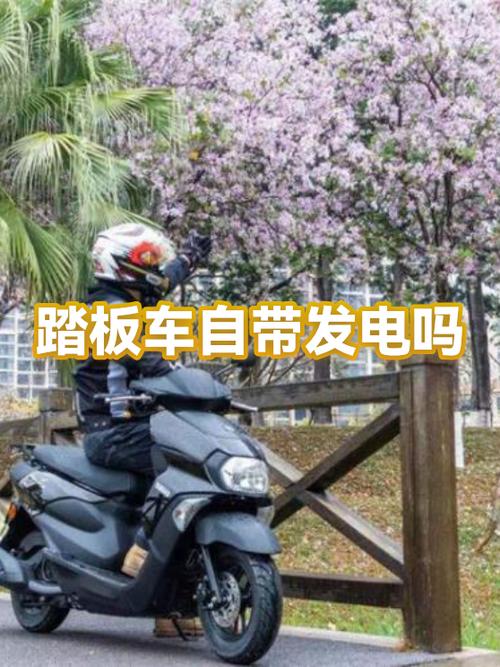 踏板摩托车没电的原因图标