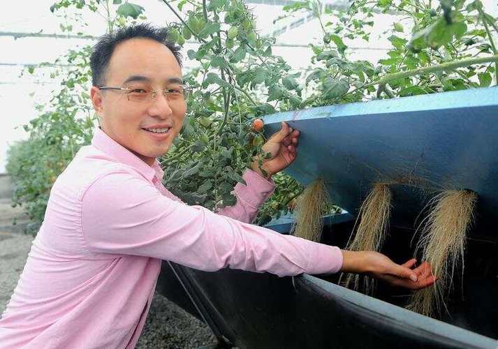 付老师黄瓜种植技术截图