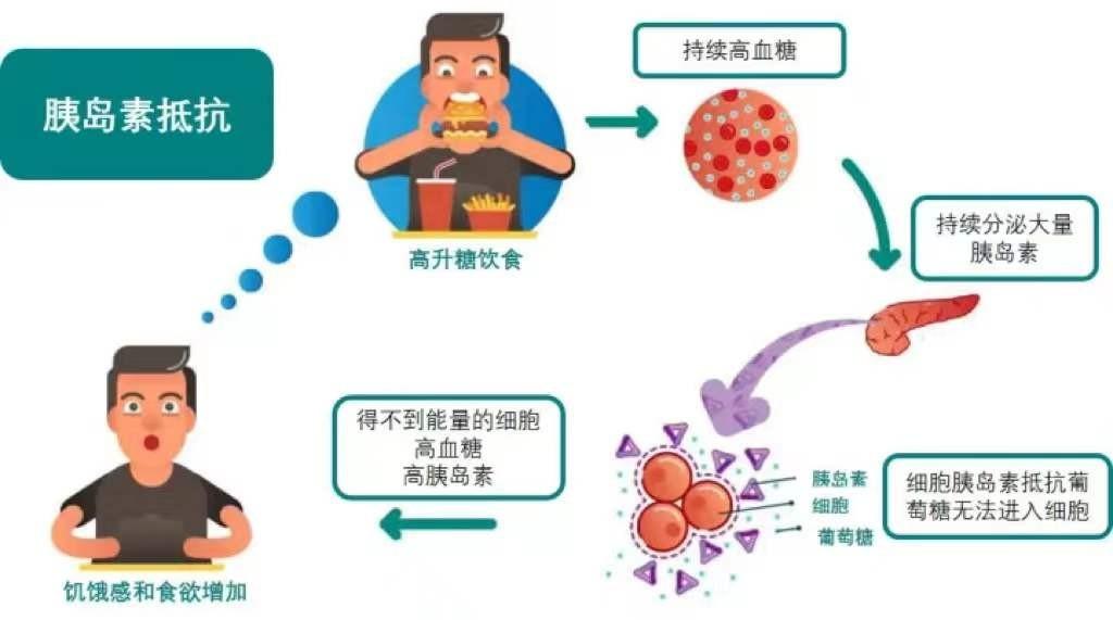 嗜甜会得糖尿病吗图标