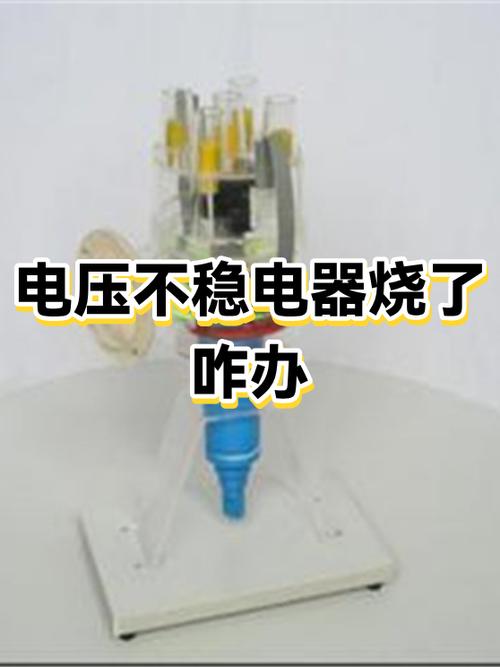 如何防止电压不稳烧坏电器图标