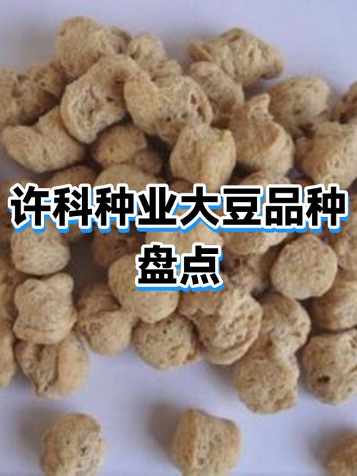 高产黄豆品种排名前十截图