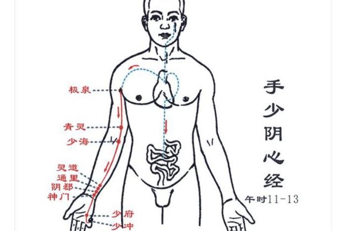手少阴心经的走向图标