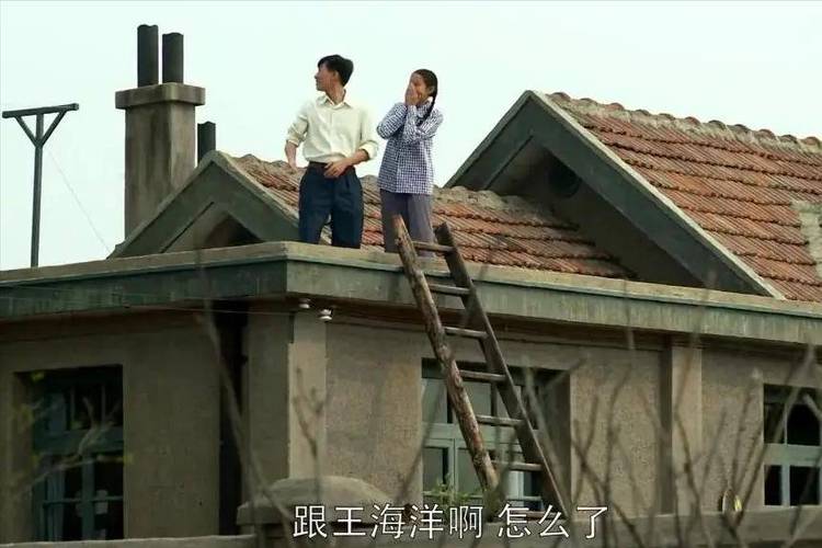 拍父母爱情的岛图标