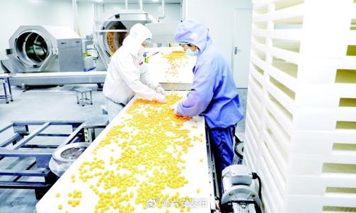 我的糖果工厂图标