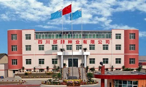 金品种业有限公司