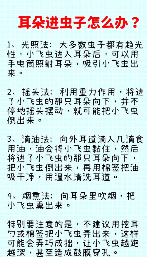 虫子进耳朵里了怎么办图标