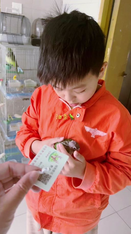 小太阳脚环去掉可以吗图标