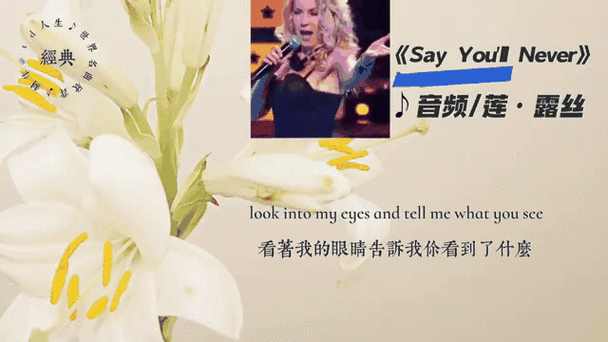 sayyounever中文翻唱截图