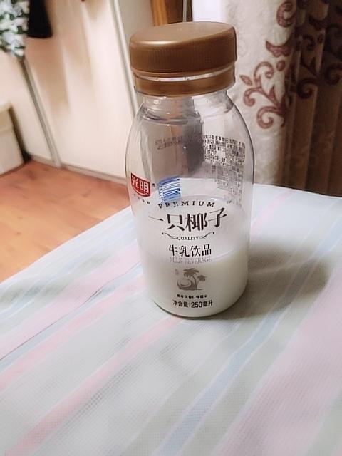 一只椰子阅读图标