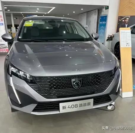 标致车的优缺点图标