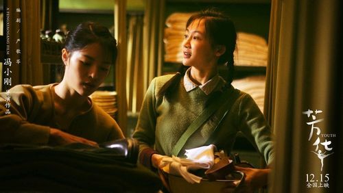 芳华电影超清下载