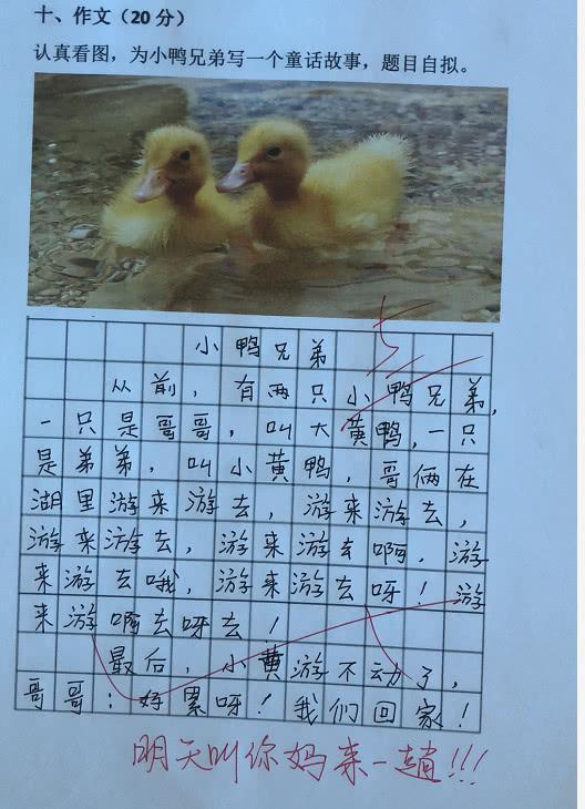 抓鸭子的故事图标