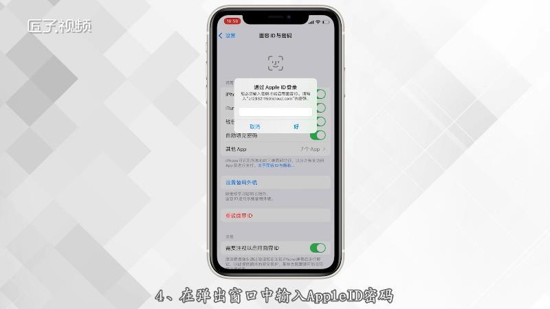 苹果ipad怎么设置人脸识别图标