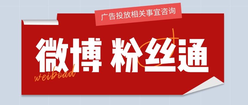 粉丝是fan还是fans截图