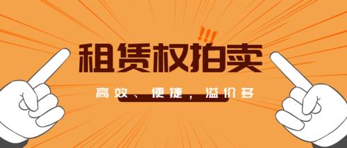 中拍网拍卖平台图标