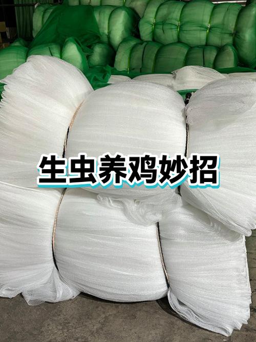 养什么虫子养鸡成本低图标
