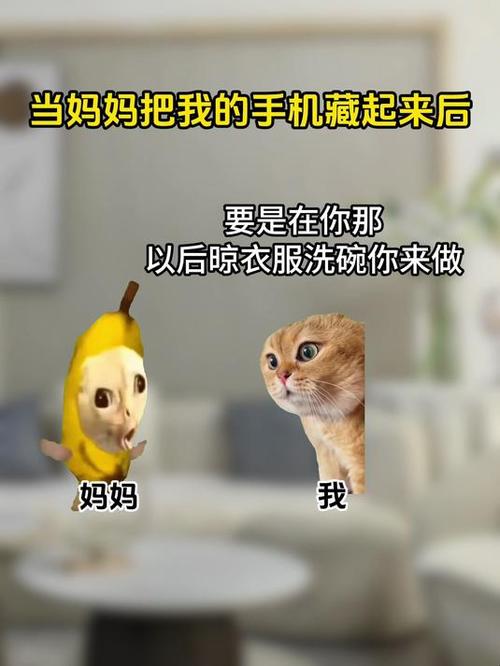 家长藏手机会藏在哪里图标