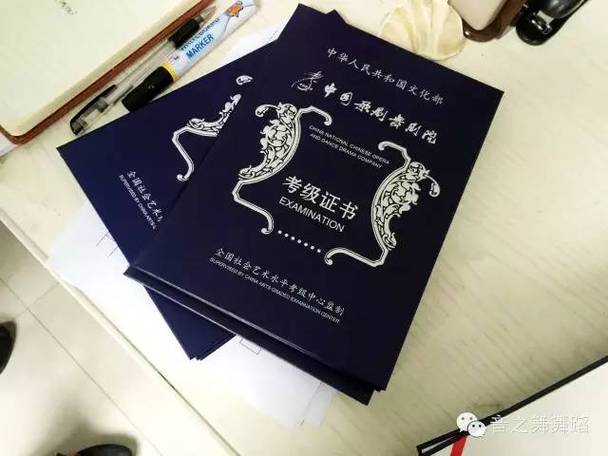 拉丁舞考级证书查询图标