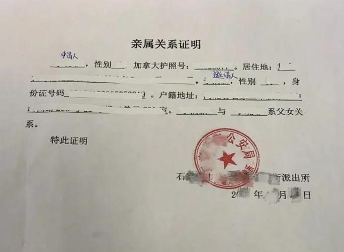 亲属关系证明怎么开截图