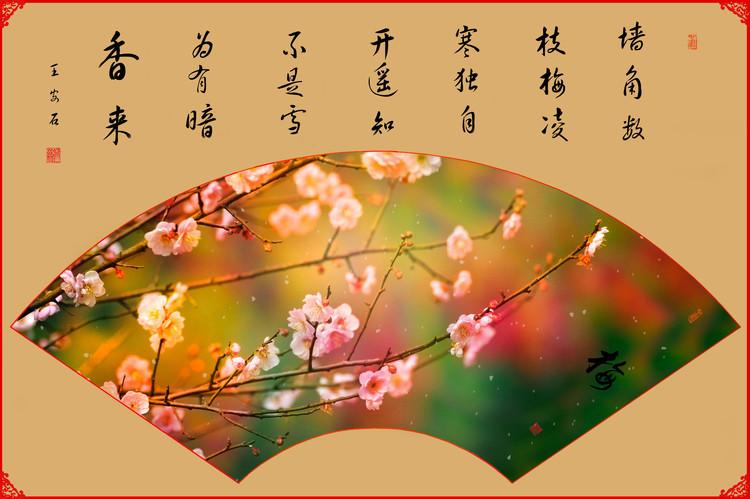 如梦 诗词截图