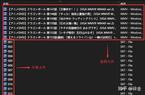 potplayer自动生成字幕图标