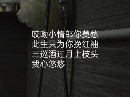 红袖是什么意思截图