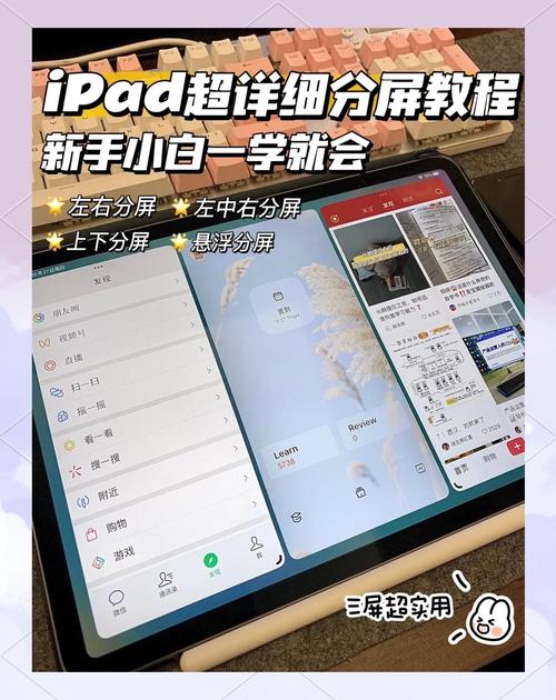 ipad2019多任务分屏怎么用图标