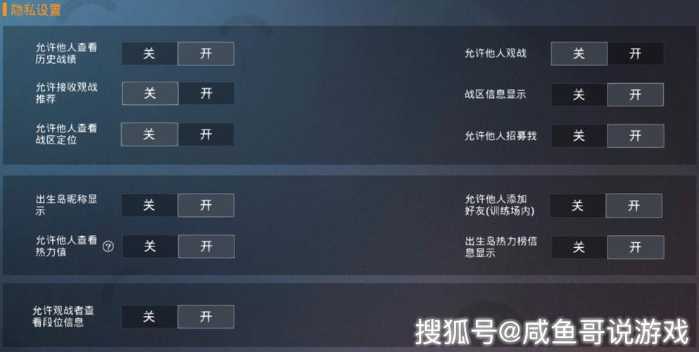 和平精英怎么没有隐私设置截图