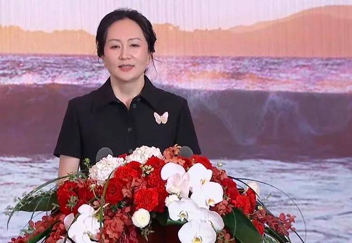 孟晚舟漂亮大气截图